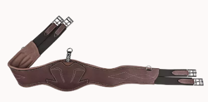 La sangle du cheval : comment choisir ? - On vous explique