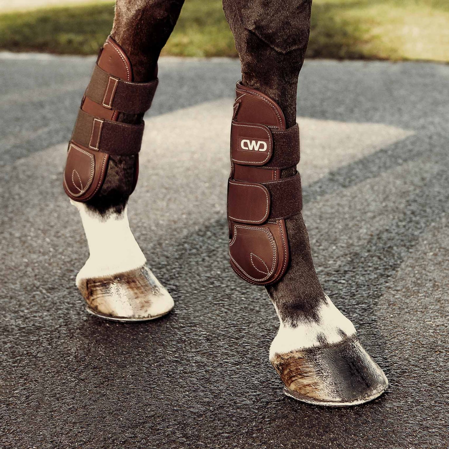 Protections du cheval : comment les choisir ? - HorseLab