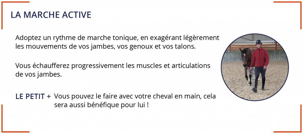 Les clefs du renforcement musculaire pour les cavaliers - HorseLab
