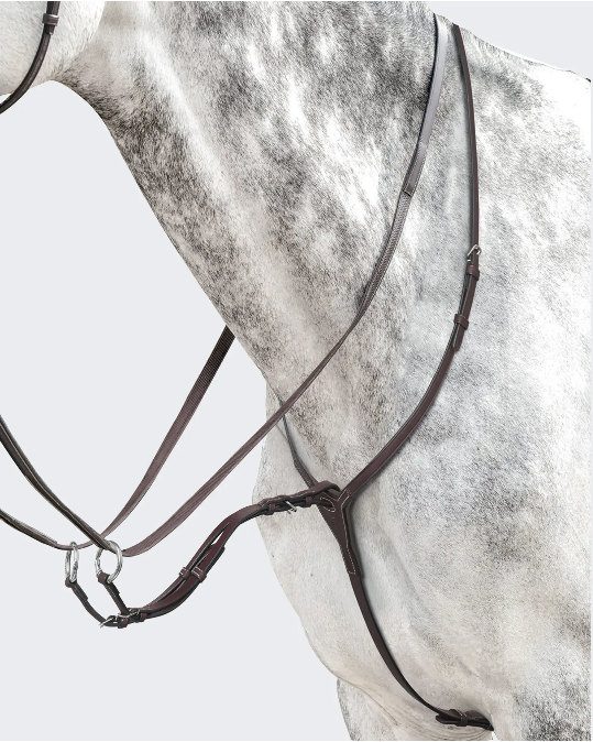 Martingale pour chevaux : comment la mettre ? - HorseLab